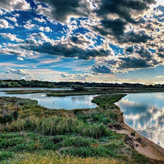 Sea and Nature - Ravenna Turismo