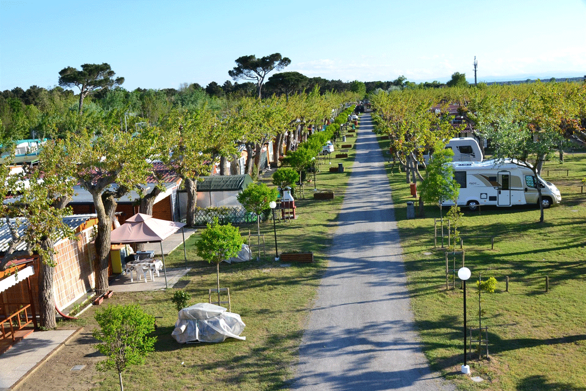 Camping Classe - Ravenna Turismo