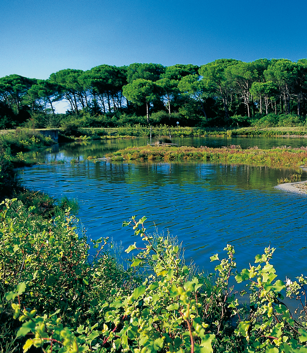 City Parks Archivi - Ravenna Turismo