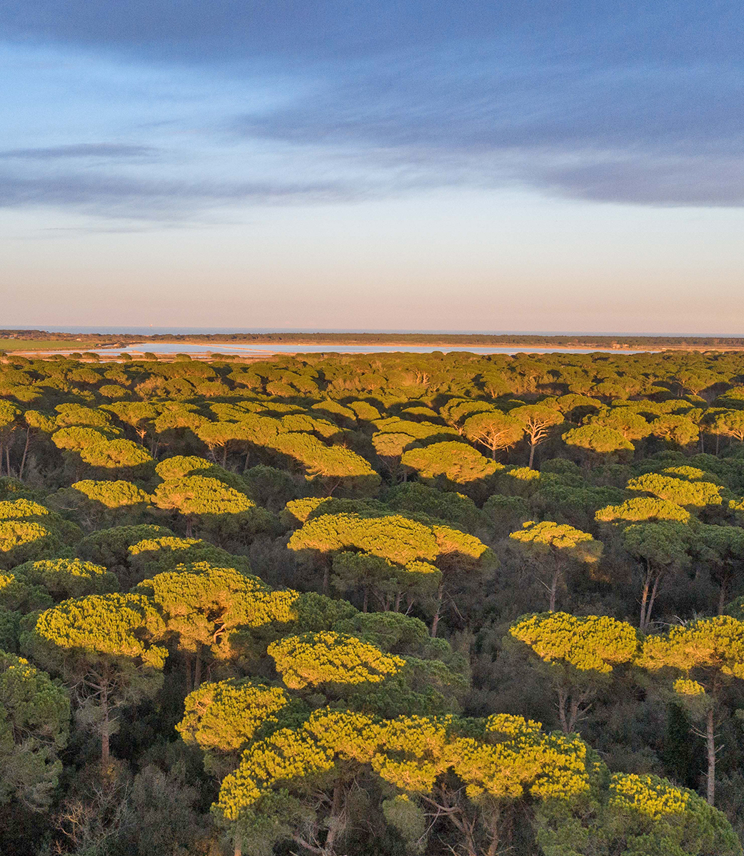 Natural areas - Ravenna Turismo