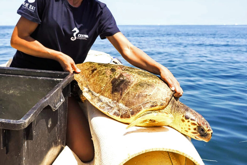 CESTHA - Experimental Centre for Habitat Protection - Ravenna Turismo