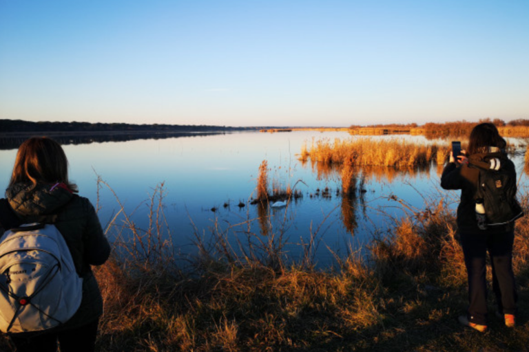 San Valentino a Boscoforte - Ravenna Turismo